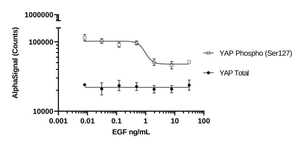 YAP Total Assay Kit Human - TGR BioSciences