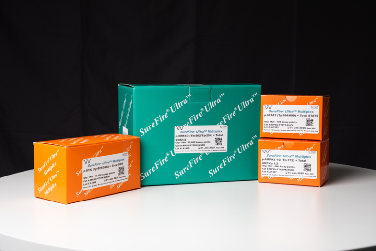 EGFR Phospho (Tyr1068) + Total EGFR Assay Kit Human - TGR BioSciences