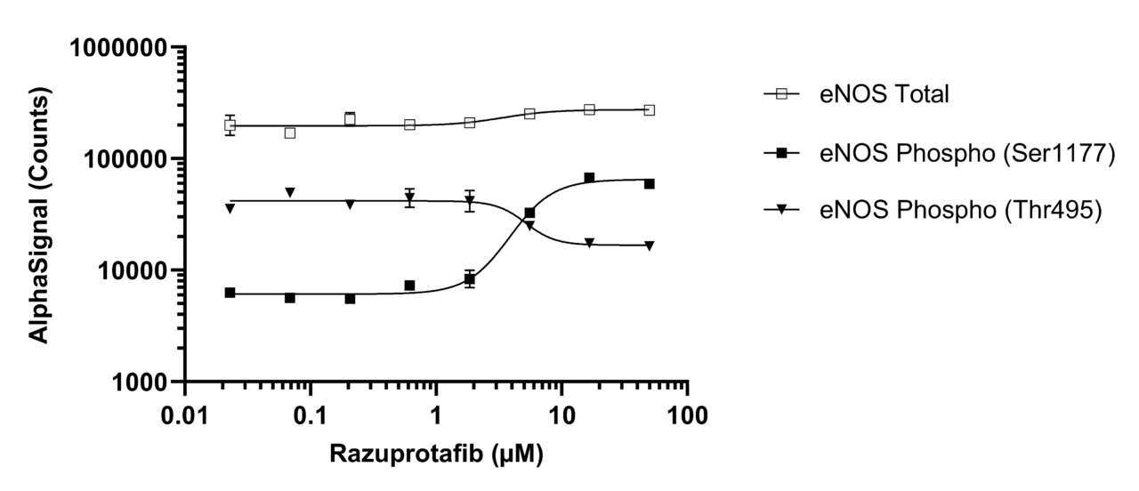 eNOS Phospho (Ser1177) Assay Kit Human - TGR BioSciences