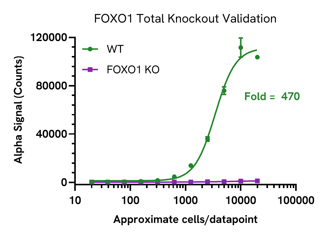 FOXO1 Total Assay Kit Human and Mouse - TGR BioSciences